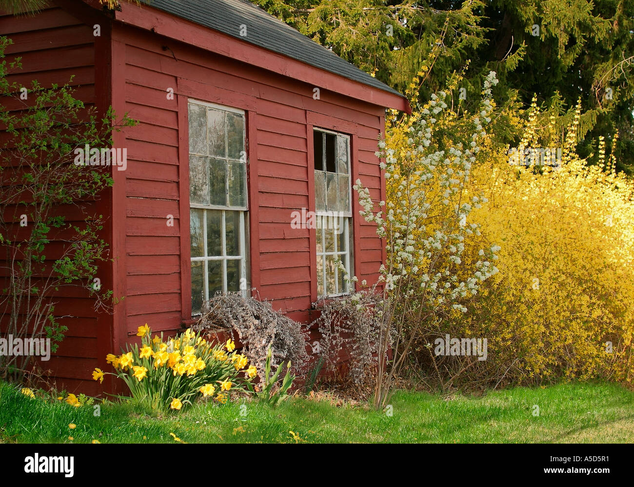 Rural tool shed in spring Stock Photo - Alamy