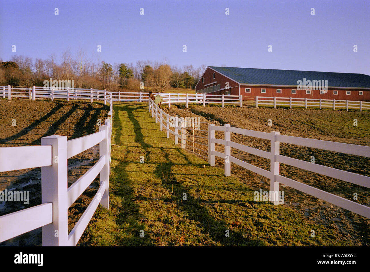 Corral fencing hi-res stock photography and images - Alamy