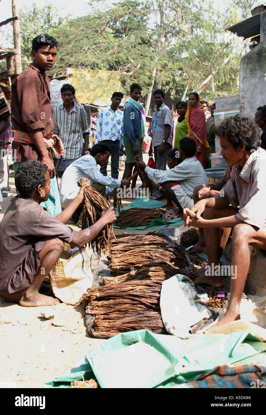 A Desia Kondh tribal weekly barter market held in a tabacco growing ...