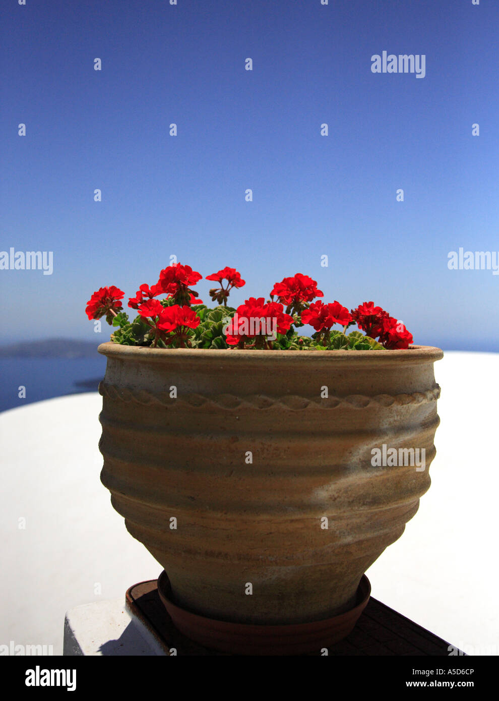 Potted red geranium against a blue sky Santorini Stock Photo - Alamy