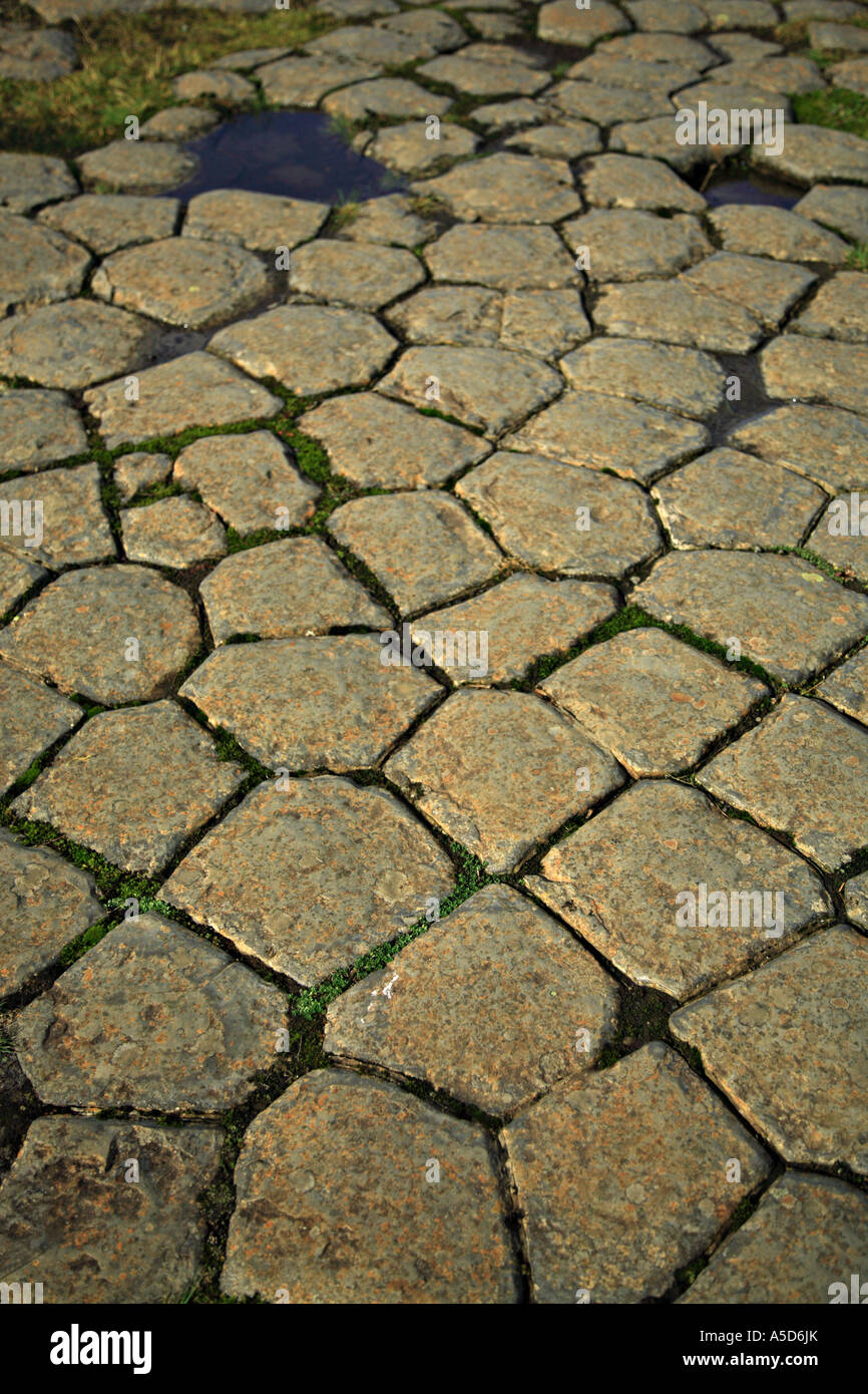 The hexagon shapes of basalt columns at Kirkjugolf Iceland Stock Photo ...