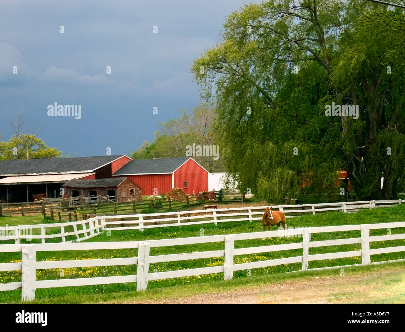 Corrals At a Horse Farm Stock Photo - Alamy