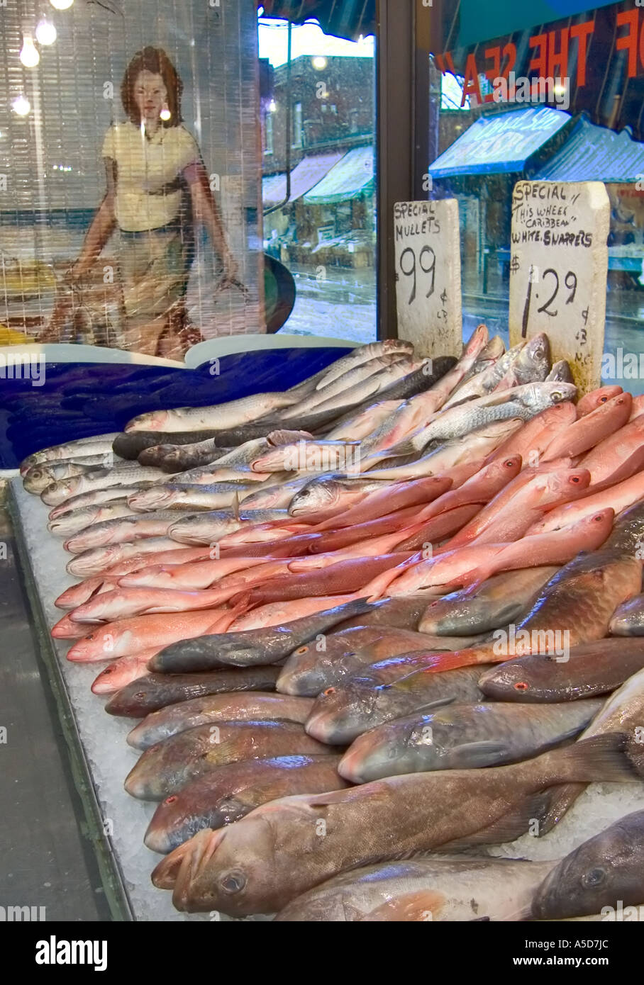 Fresh Fish Market Display Stock Photo - Alamy