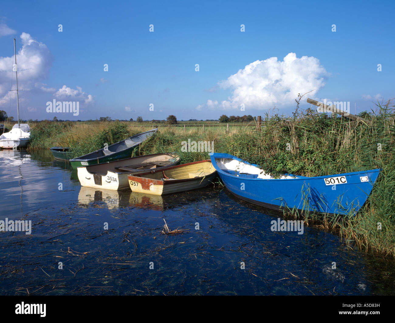 Broadland landscape hi-res stock photography and images - Alamy