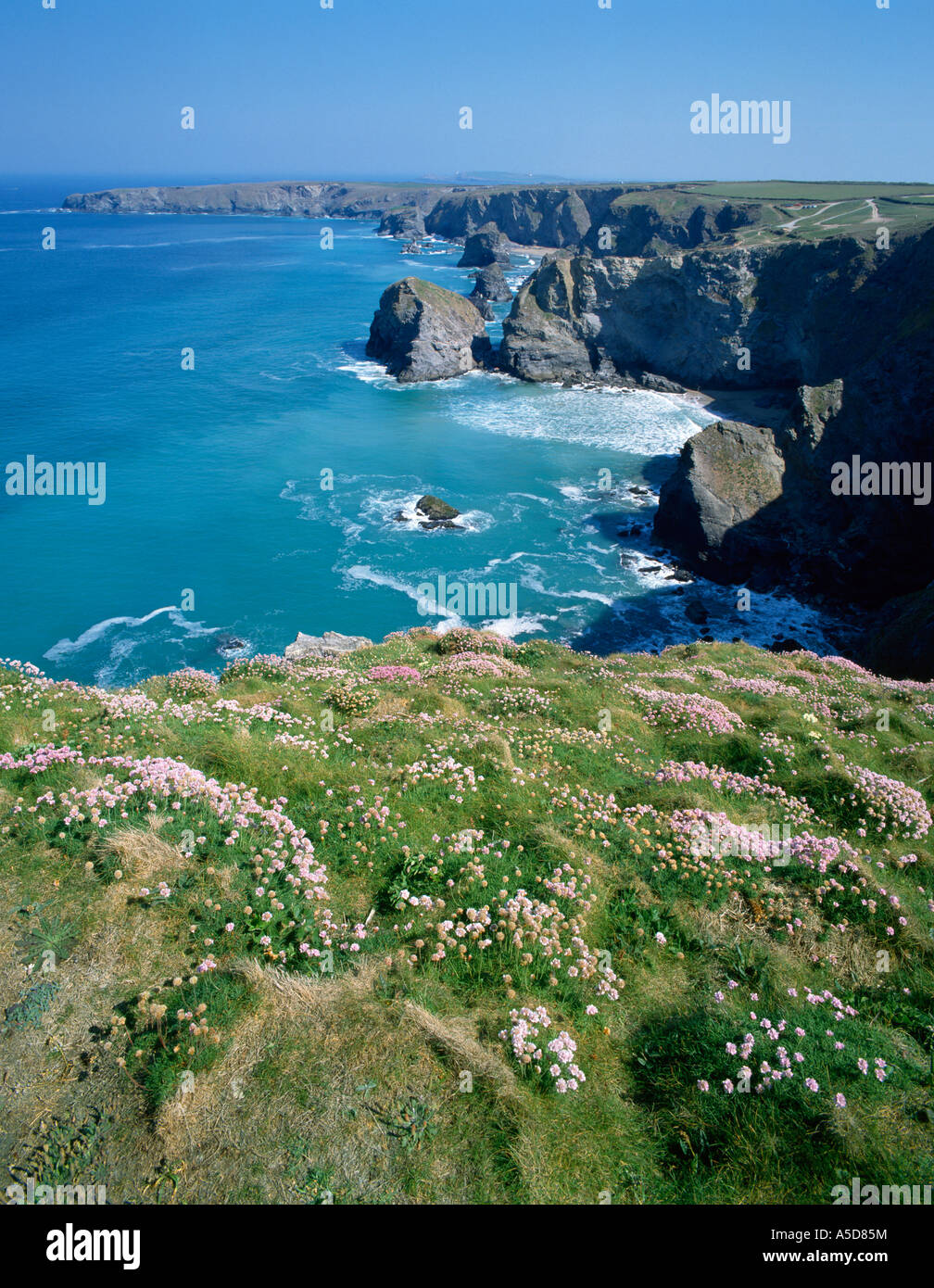 cornish coastline, cornwall, england Stock Photo - Alamy