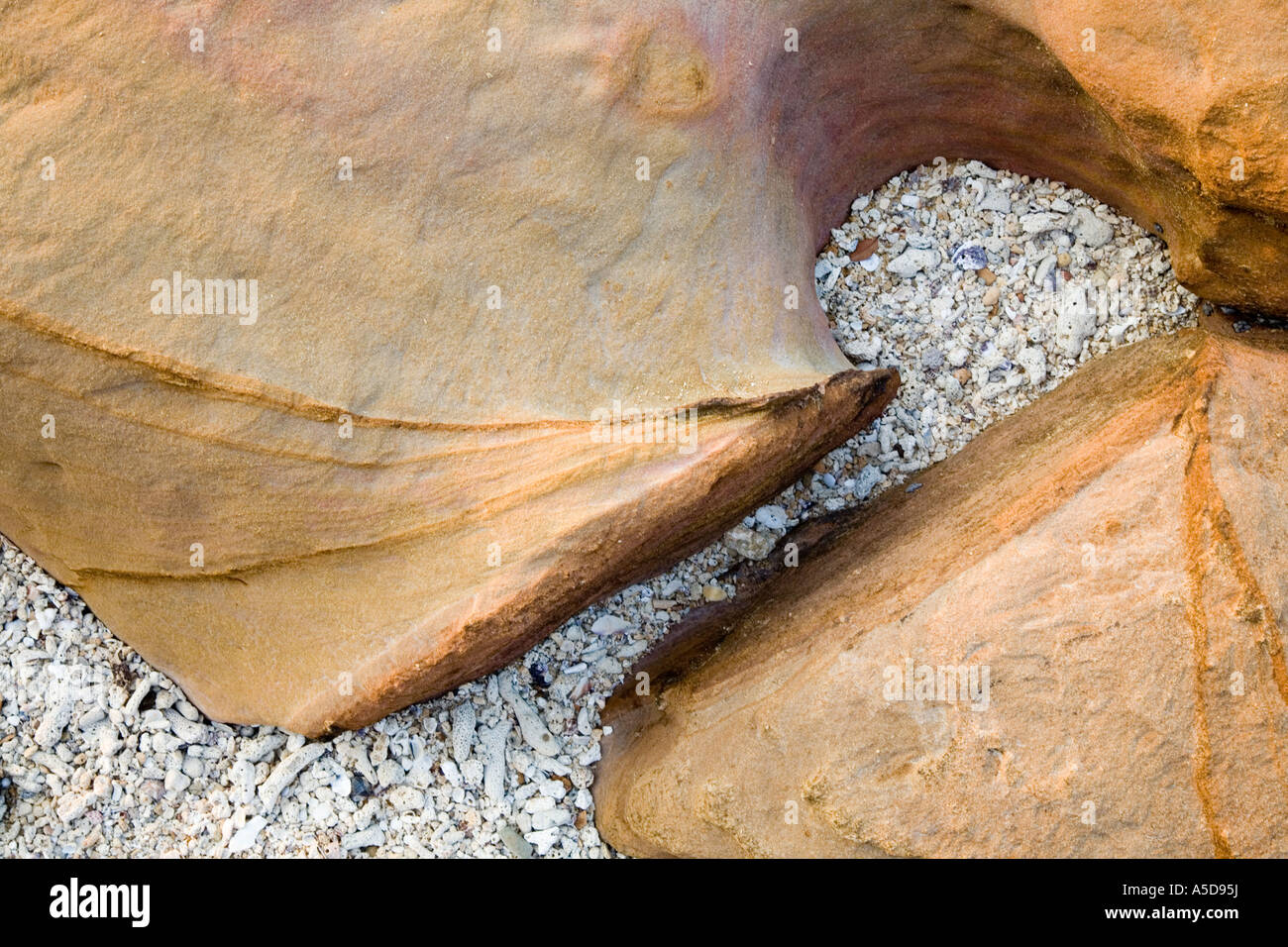 Landscapes of Coral & weather worn eroded Sandstone formations ...