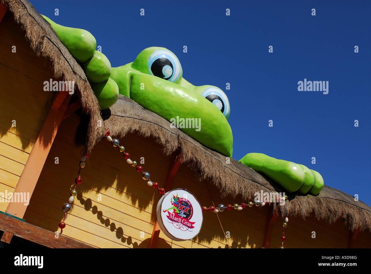 Senor Frogs famous bar restaurant Cancun Yucatan peninsular Mexico ...