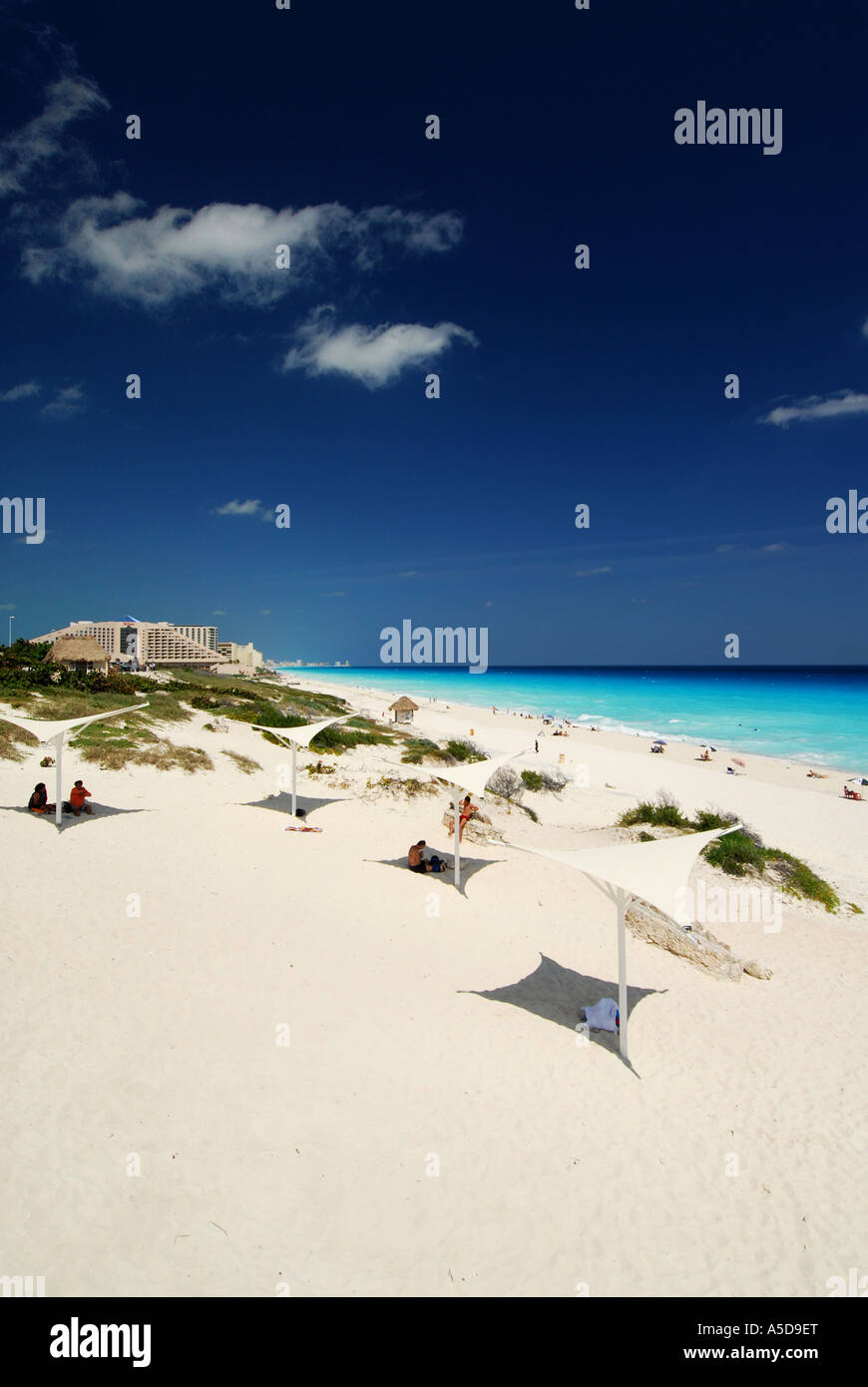 Beach south of the hotel zone Cancun Yucatan peninsular Mexico Stock ...