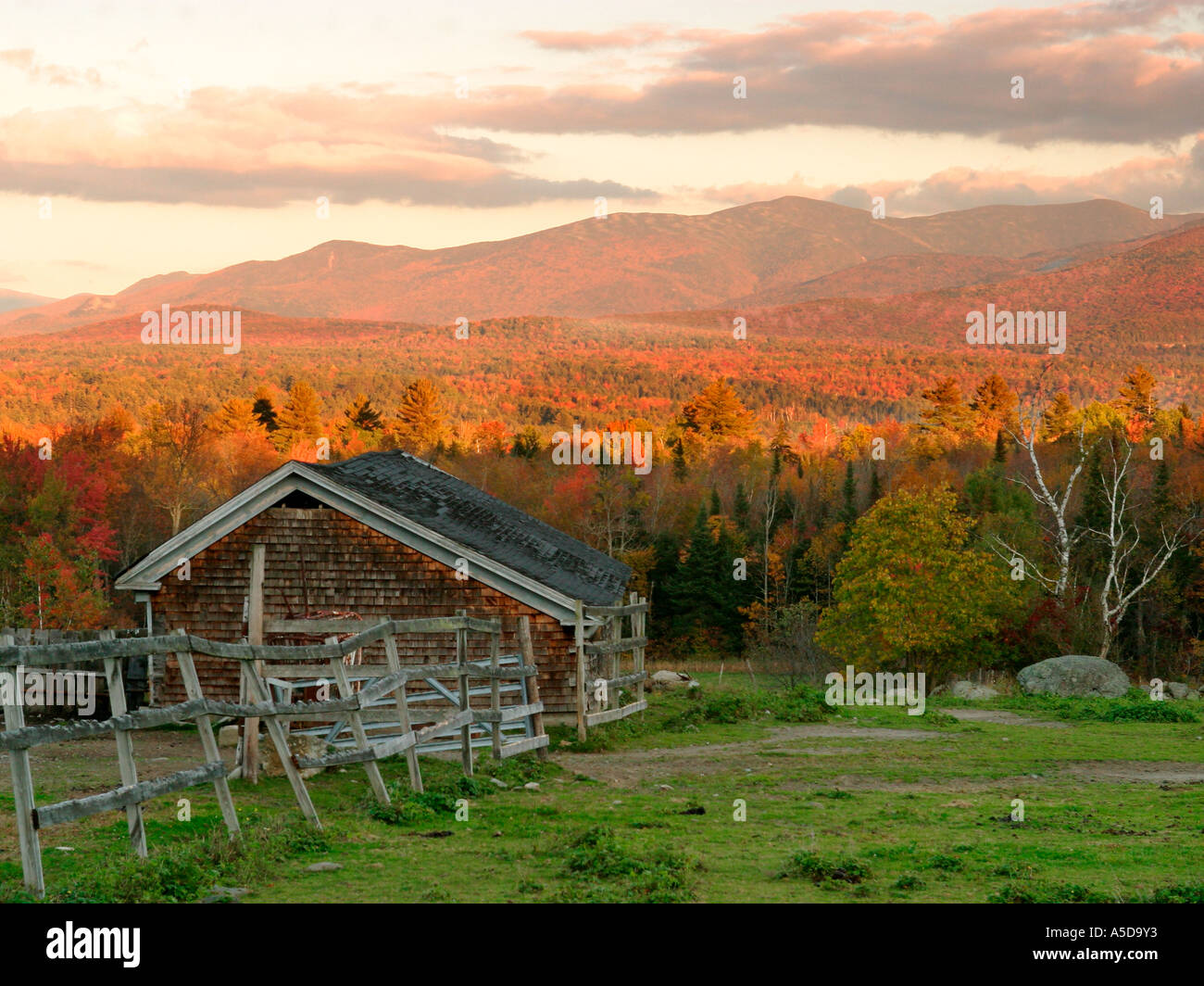 Sunrise On a Farm Pasture Stock Photo - Alamy