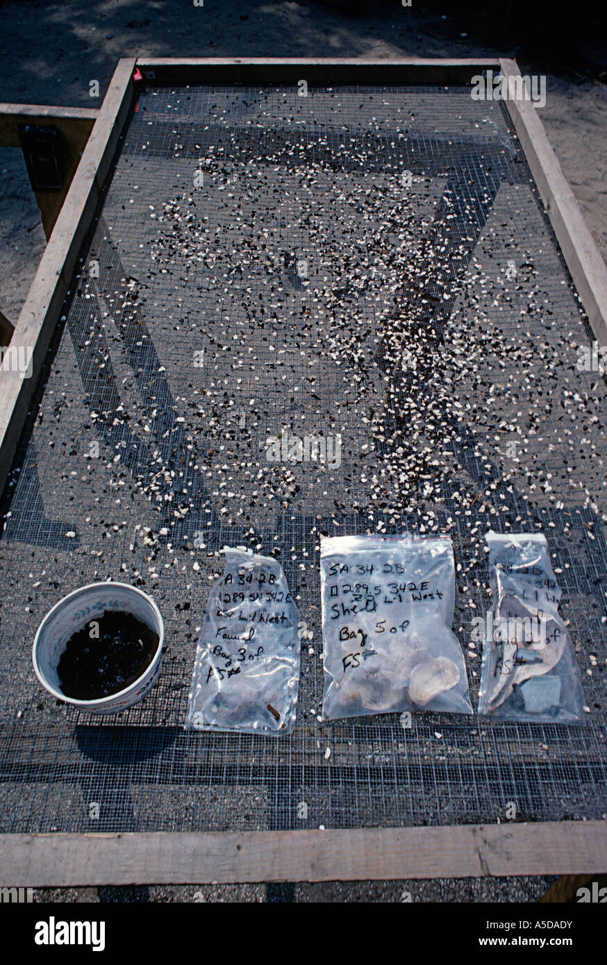 Archaeologist dig hi-res stock photography and images - Alamy