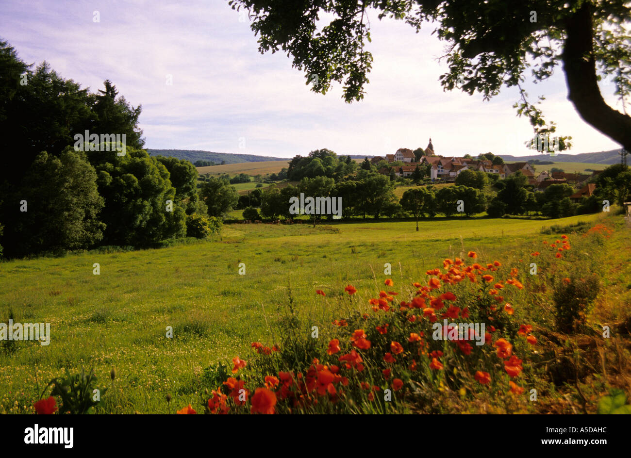 Wiesenfeld hi-res stock photography and images - Alamy