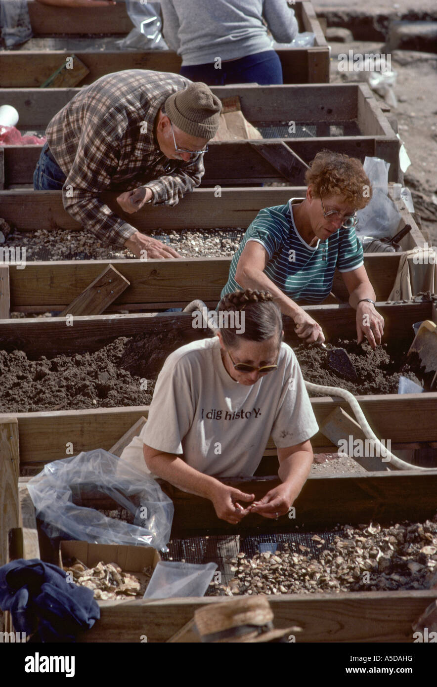 Archaeologists screening for artifacts at an excavation Stock Photo - Alamy