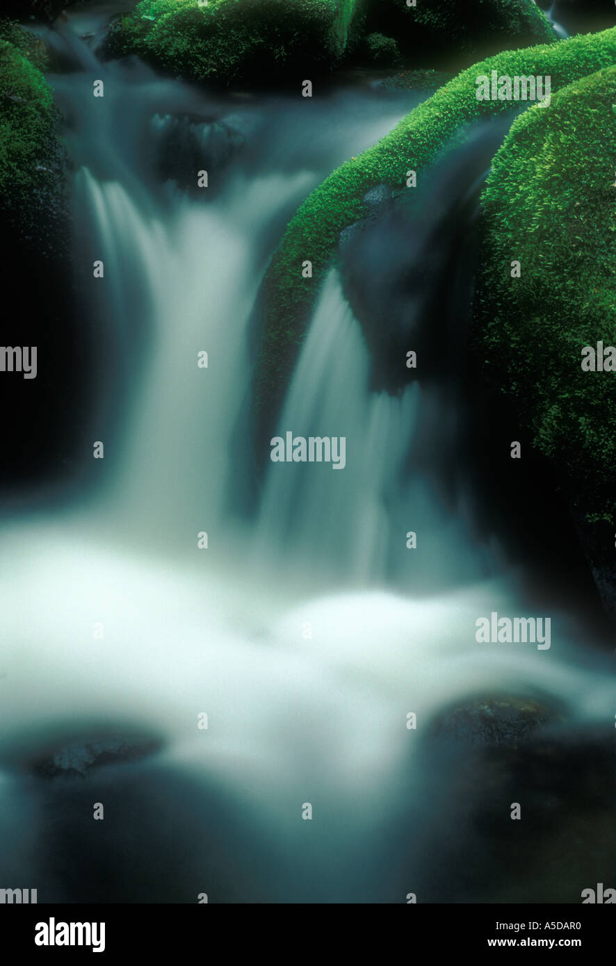 Moss covered boulders and waterfall in Roaring Fork Great Smoky ...