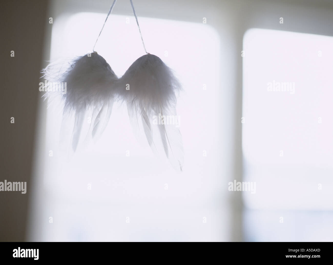 Wings of angel, fancy costume Stock Photo - Alamy