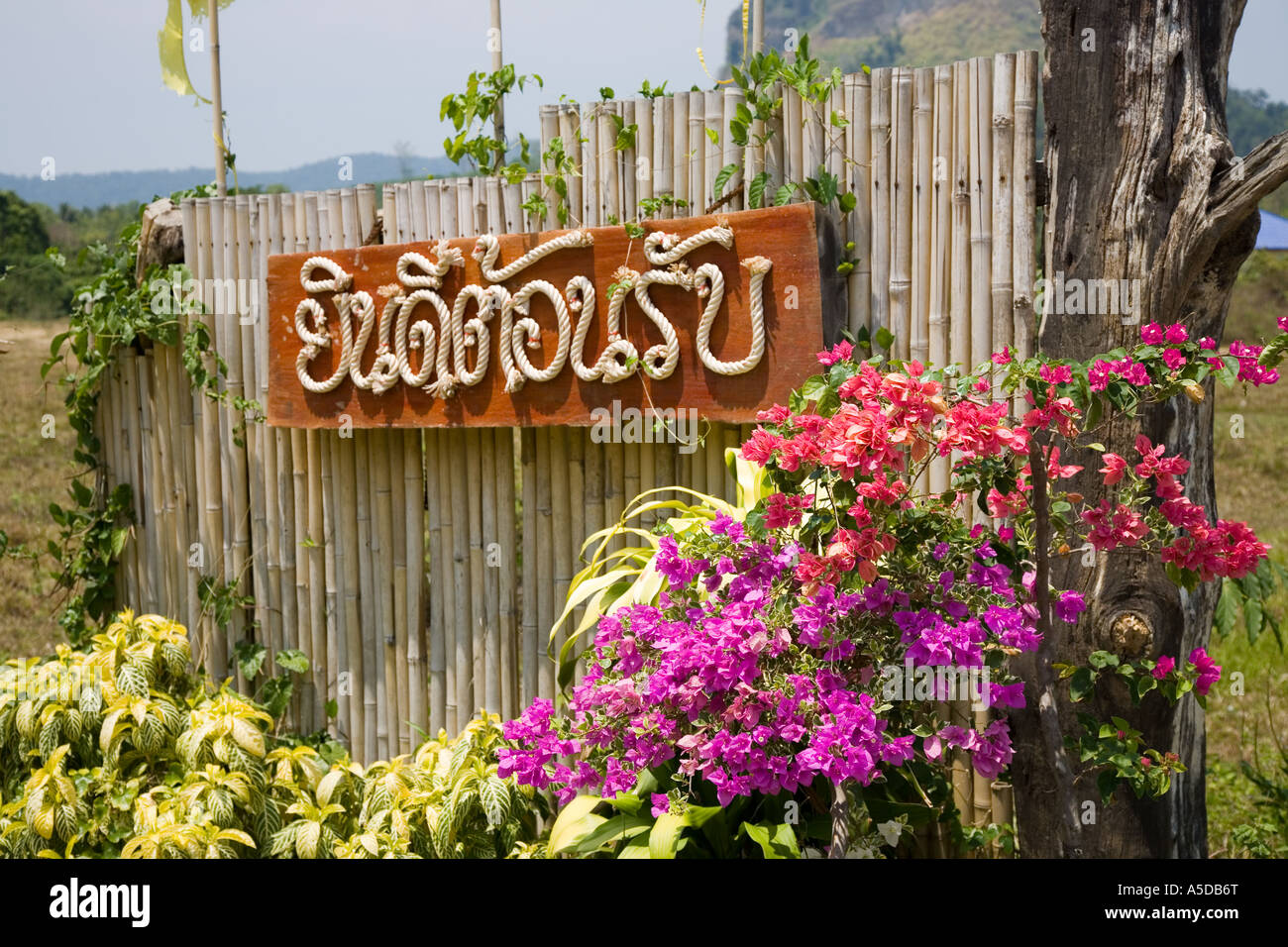 Bamboo fencing thailand hi-res stock photography and images - Alamy