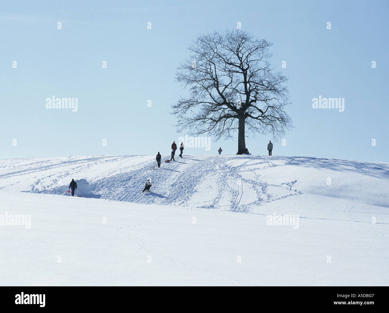 Luging hi-res stock photography and images - Alamy