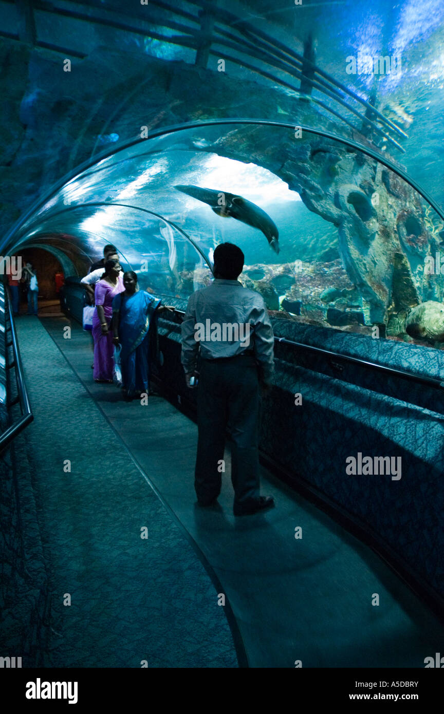 Stock photo of the undersea walkway at the Underwater World aquarium on ...