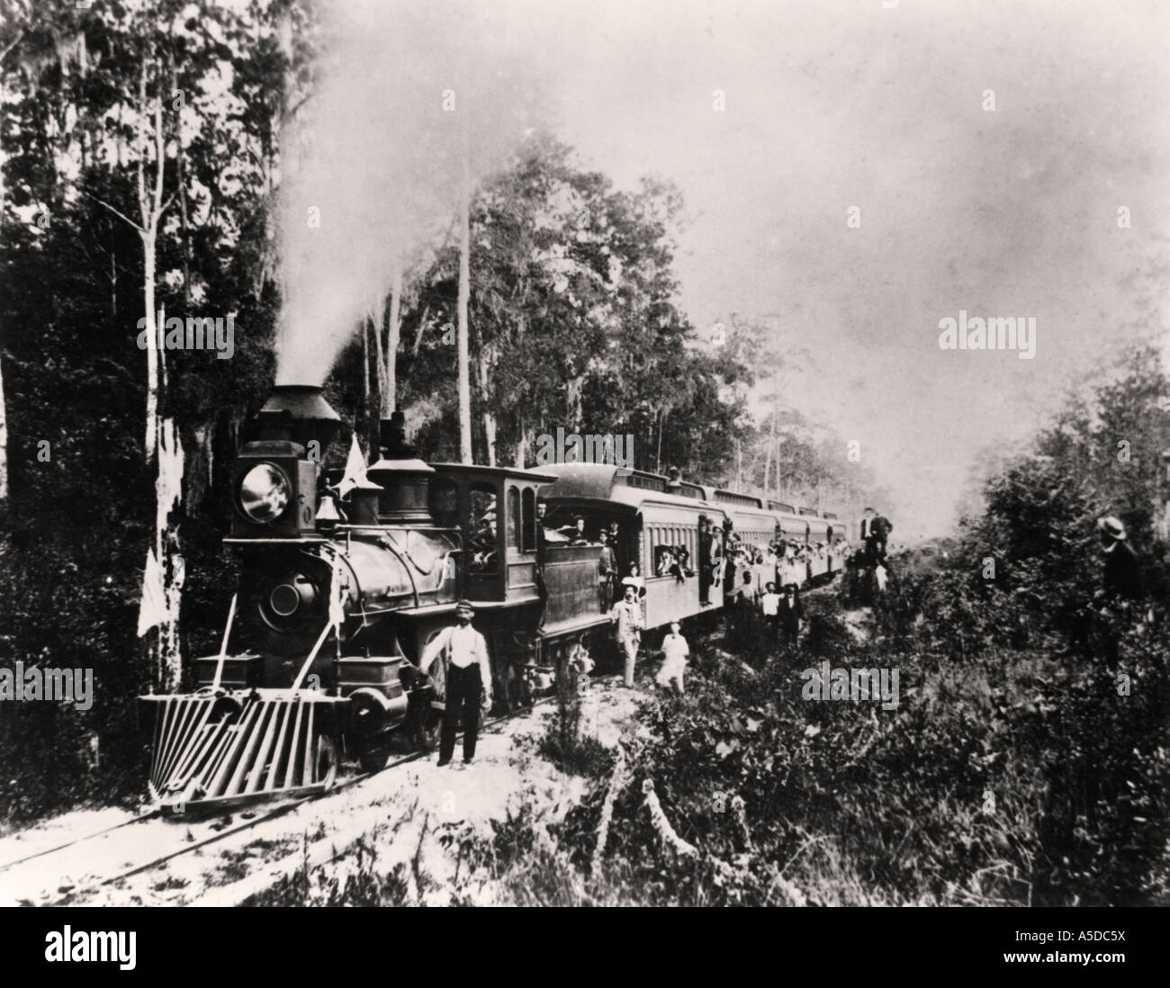First train to Key West in the Florida wilderness Stock Photo - Alamy