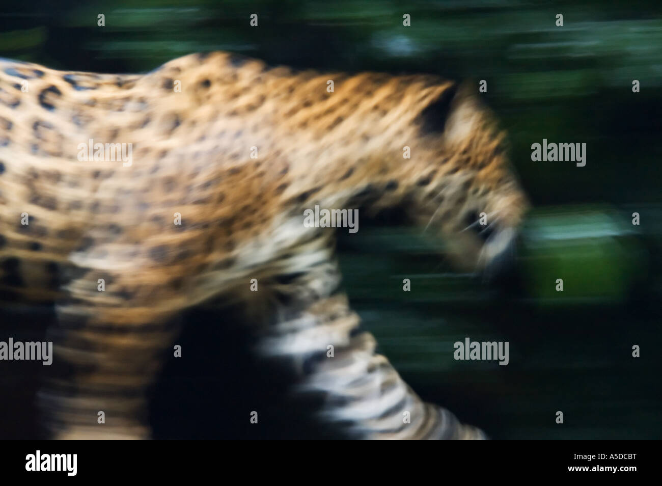 Singapore tourist spots hi-res stock photography and images - Alamy