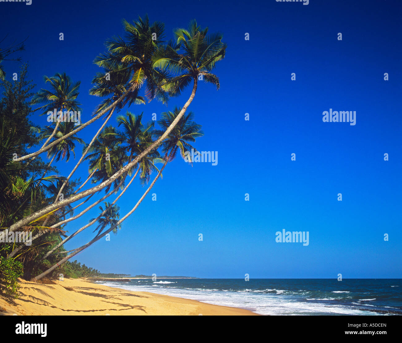 Tangalla Beach Sri Lanka Stock Photo - Alamy