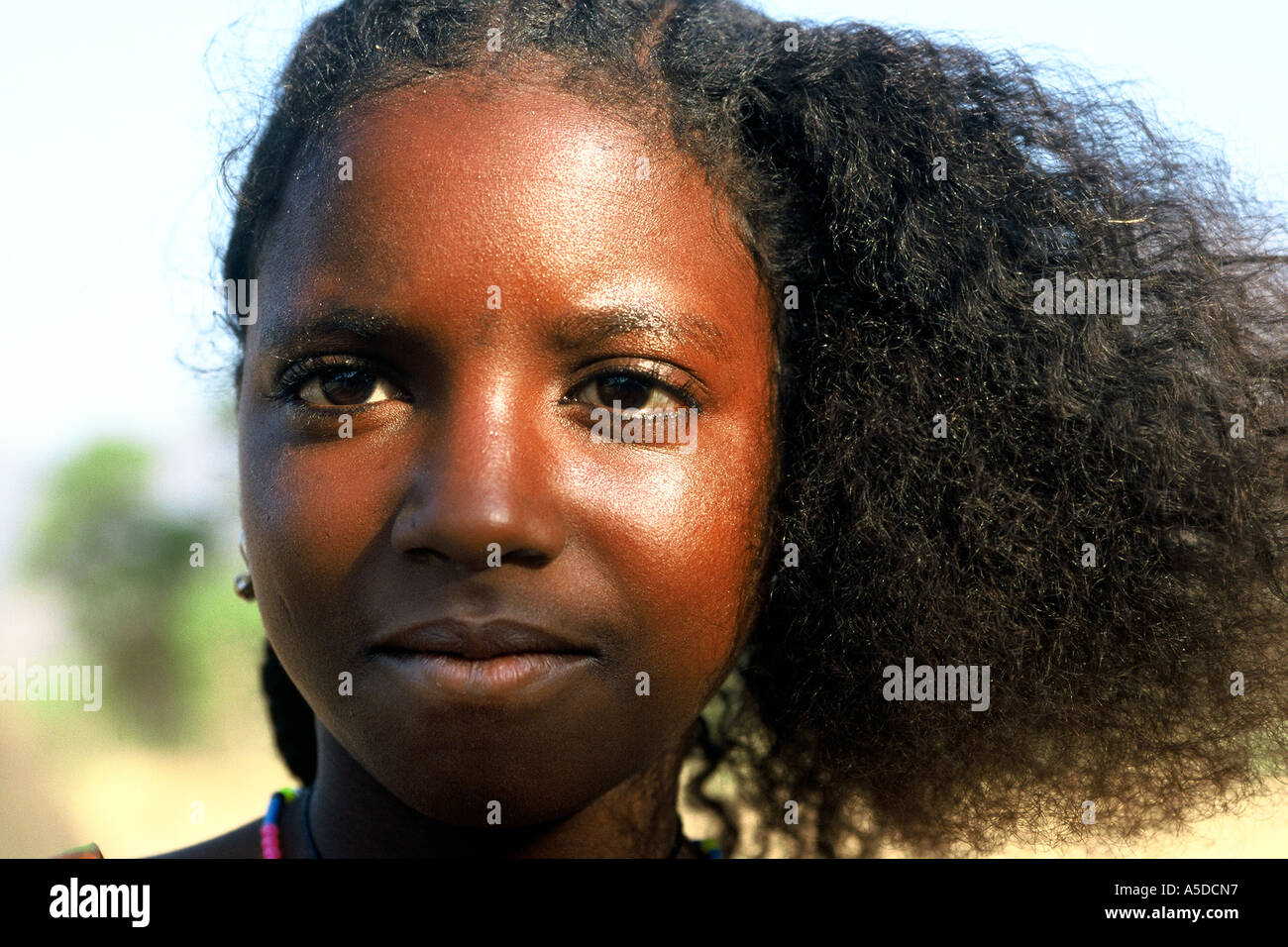 On the way to Alantika, a Bororo girl Stock Photo - Alamy