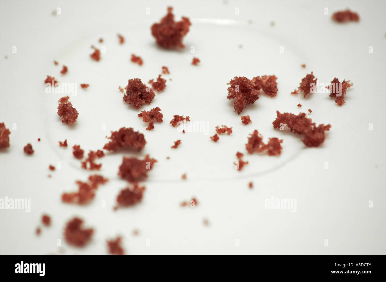 The crumbs hi-res stock photography and images - Alamy