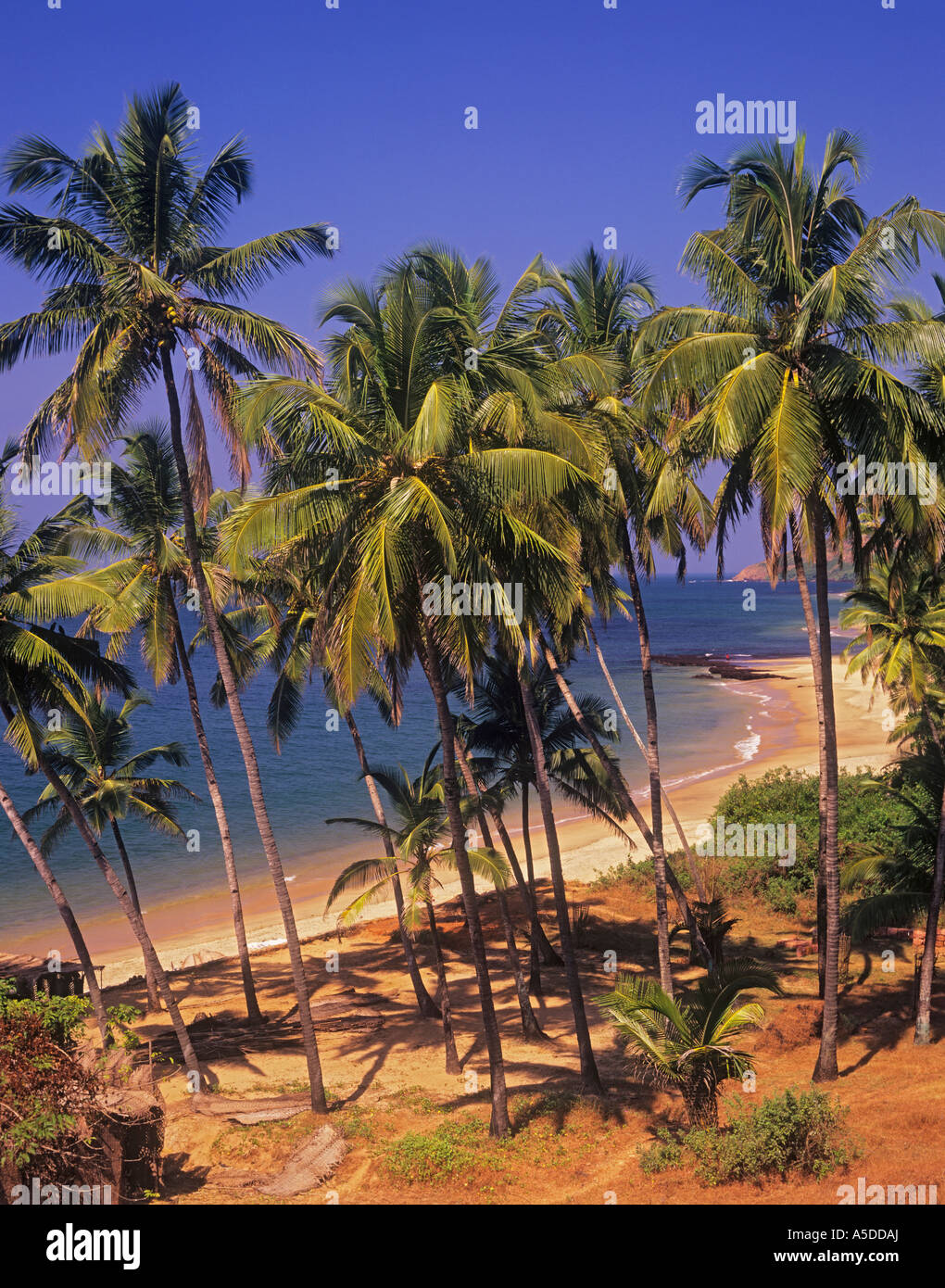 Anjuna Beach Goa India Stock Photo - Alamy