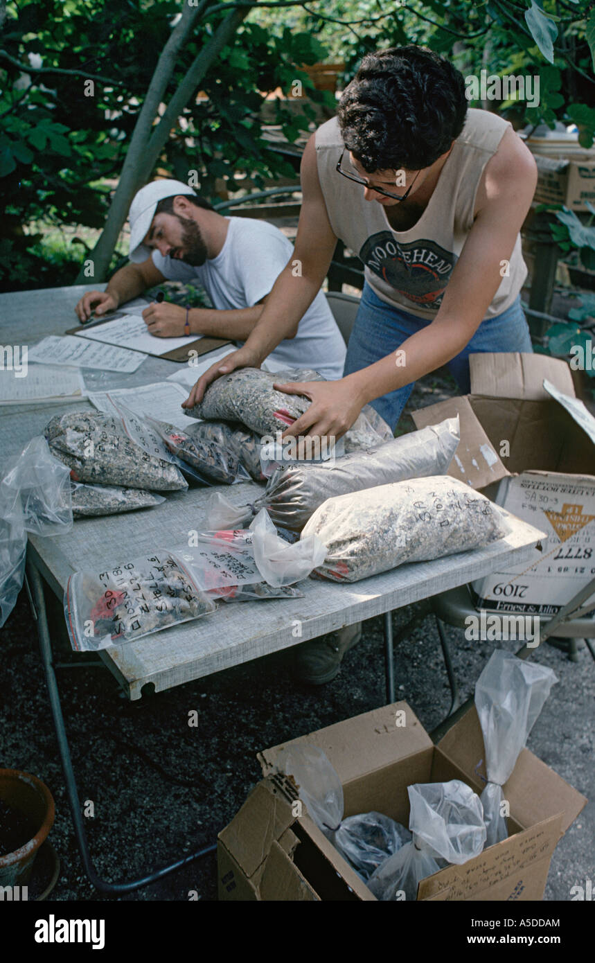 Student archaeologists bagging and recording artifacts Stock Photo - Alamy