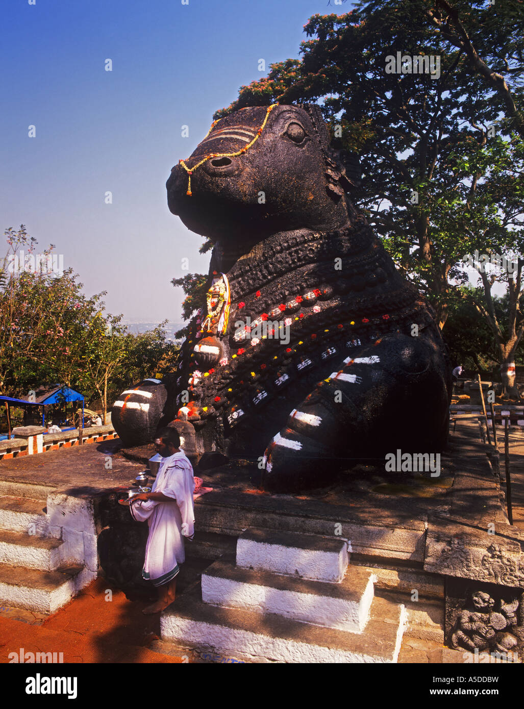Nandi Shrine Chamundi Hill Mysore India Stock Photo - Alamy