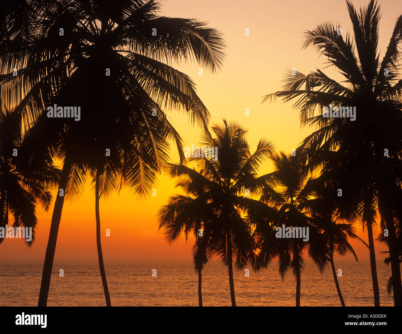 Kovalam Beach sunset Kerala India Stock Photo - Alamy