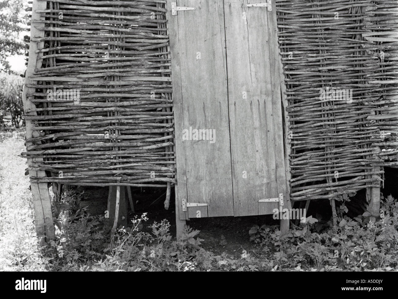 Detail of wattle construction in a typical Mayan Indian building in ...