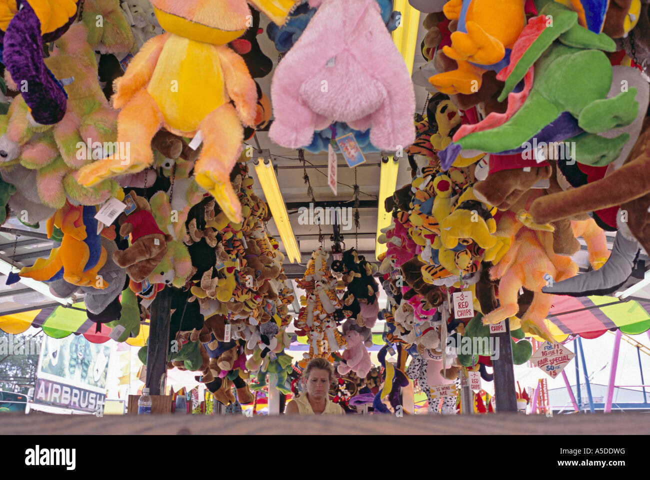 Stuffed animal prizes at a county fair in Florida USA Stock Photo - Alamy