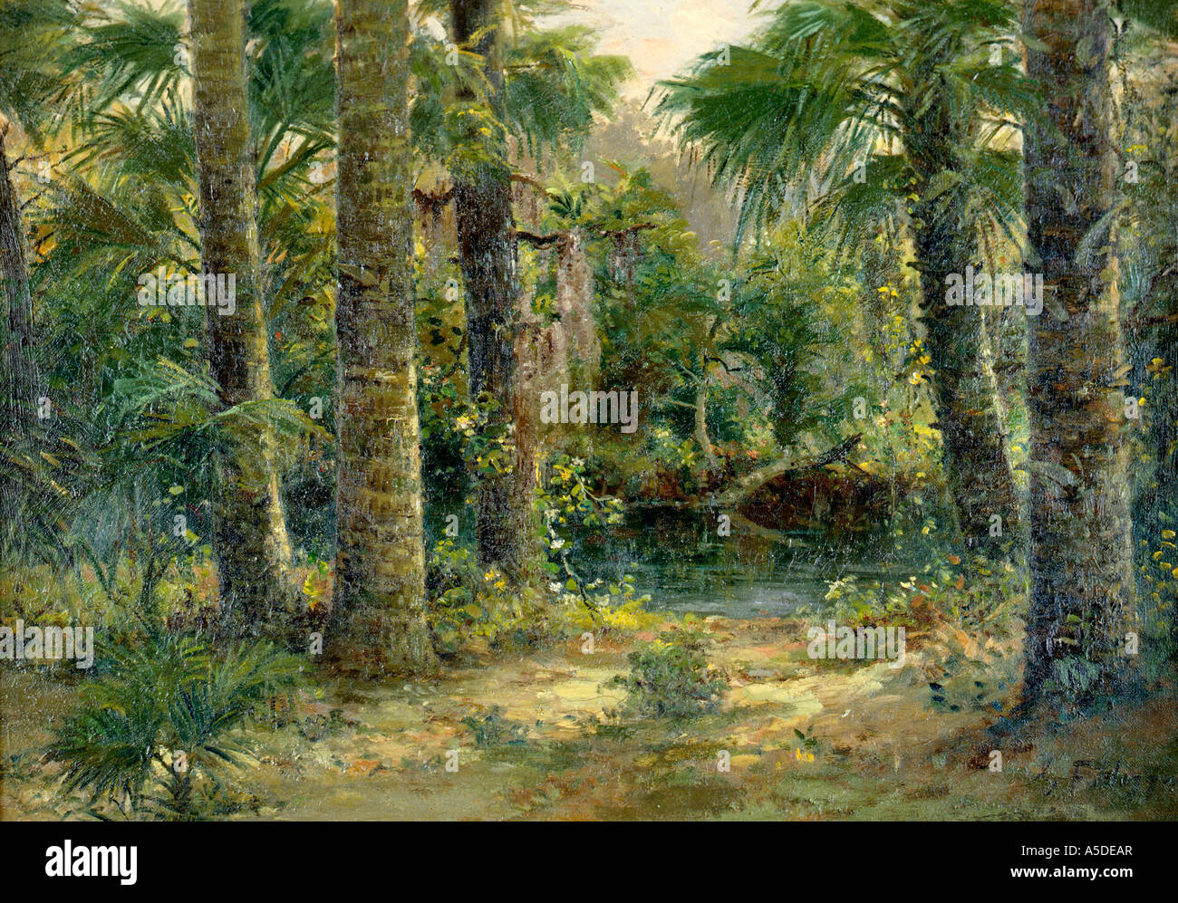 Landscape in the Florida Keys Stock Photo - Alamy