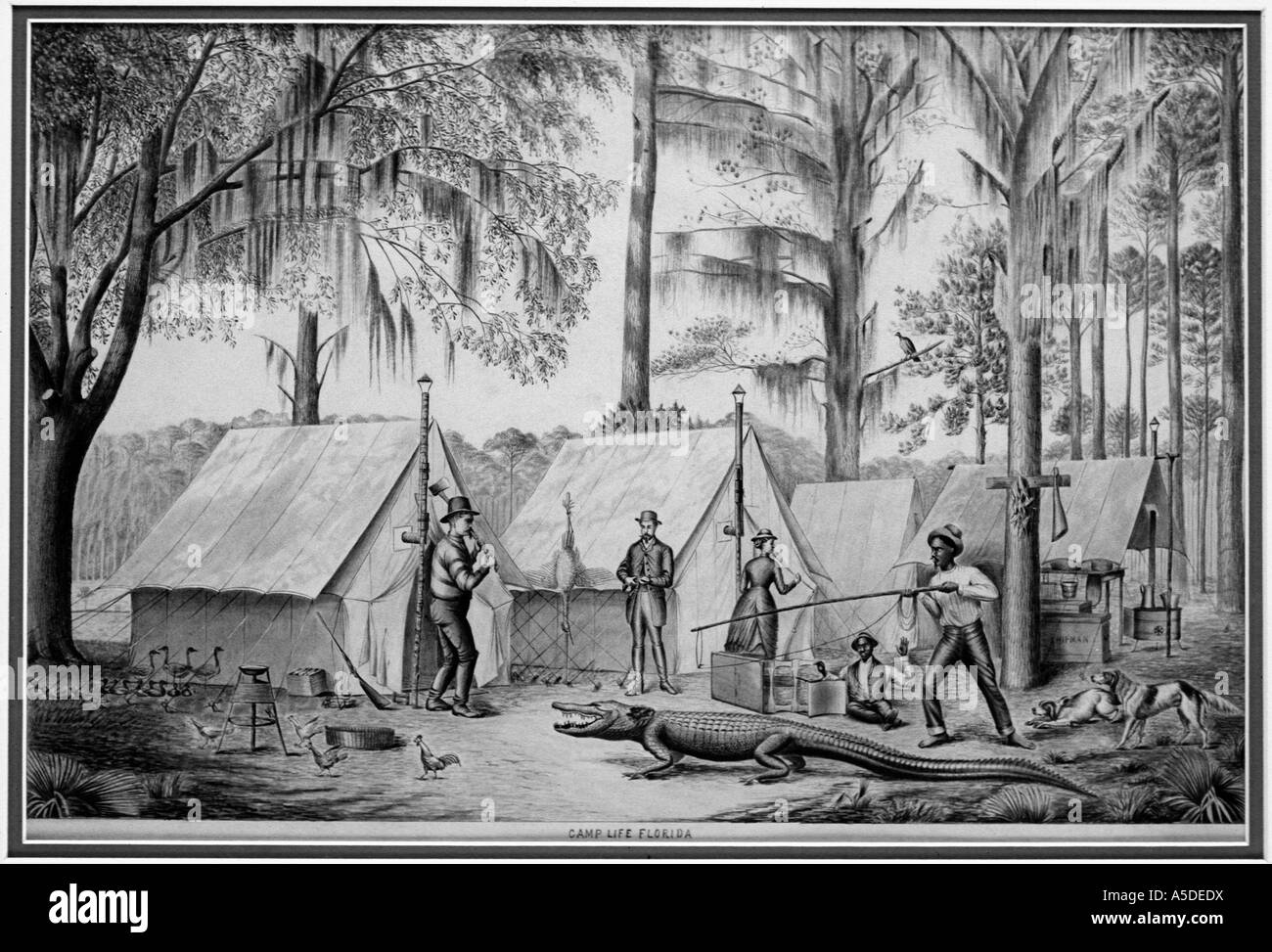 Drawing Camp life in Florida Stock Photo - Alamy