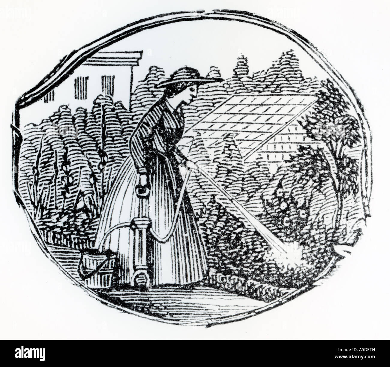 Garden engraving hi-res stock photography and images - Alamy