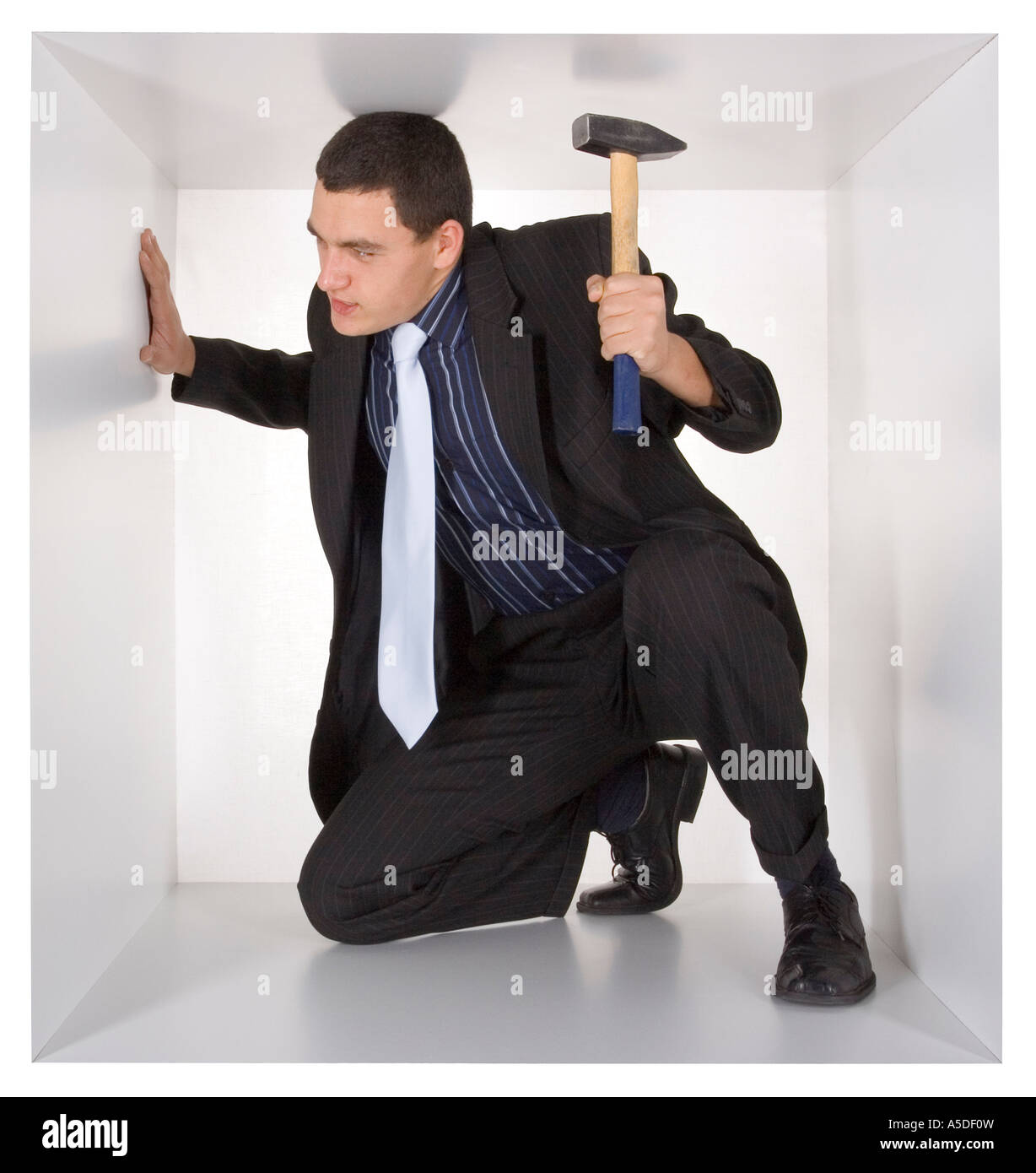 businessman with hammer in the cramped white cube Stock Photo - Alamy