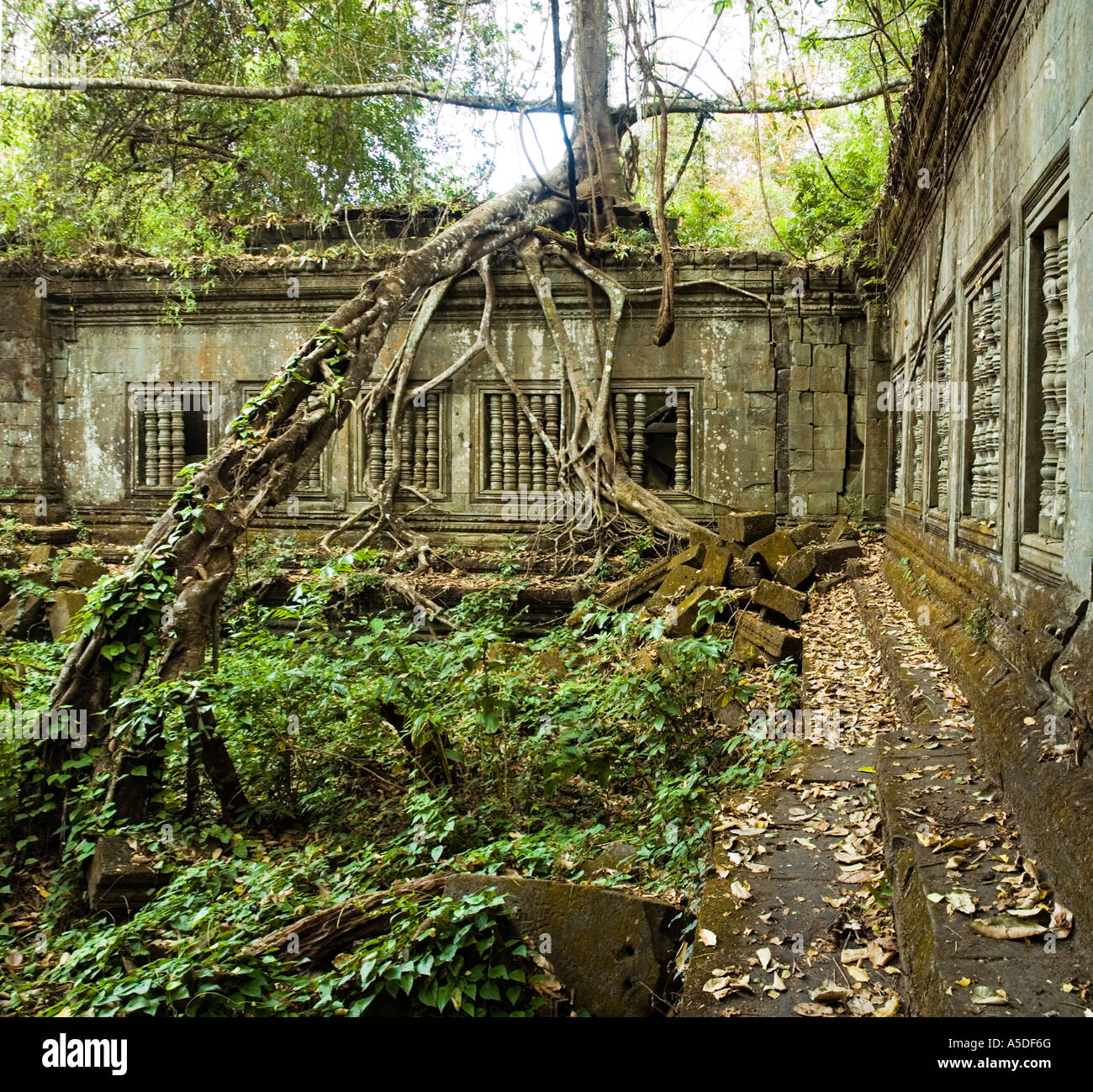 The temple ruins of Beng Mealea near Angkor Wat in Cambodia Stock Photo ...