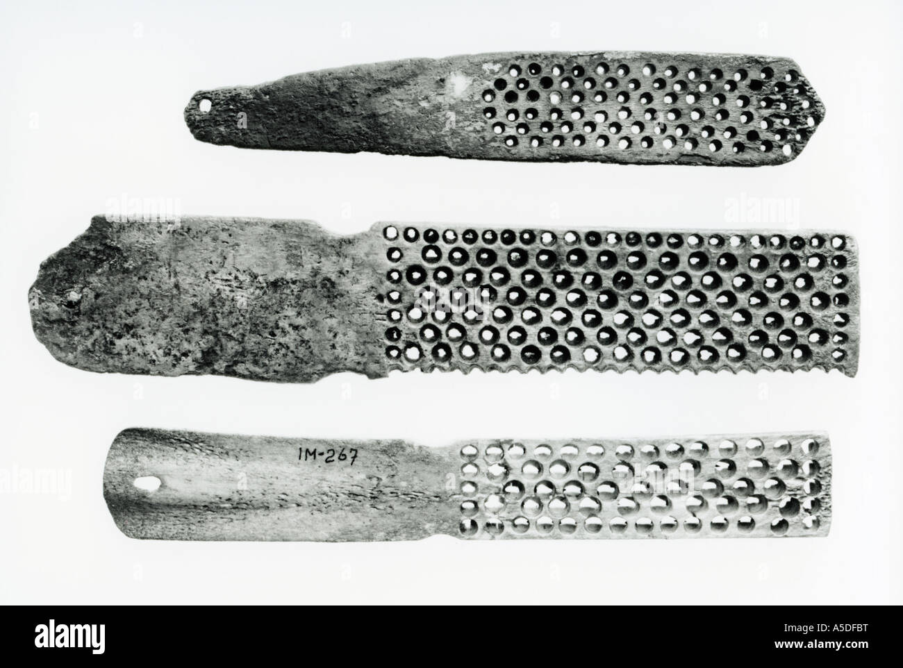 Ivory and bone hi-res stock photography and images - Alamy