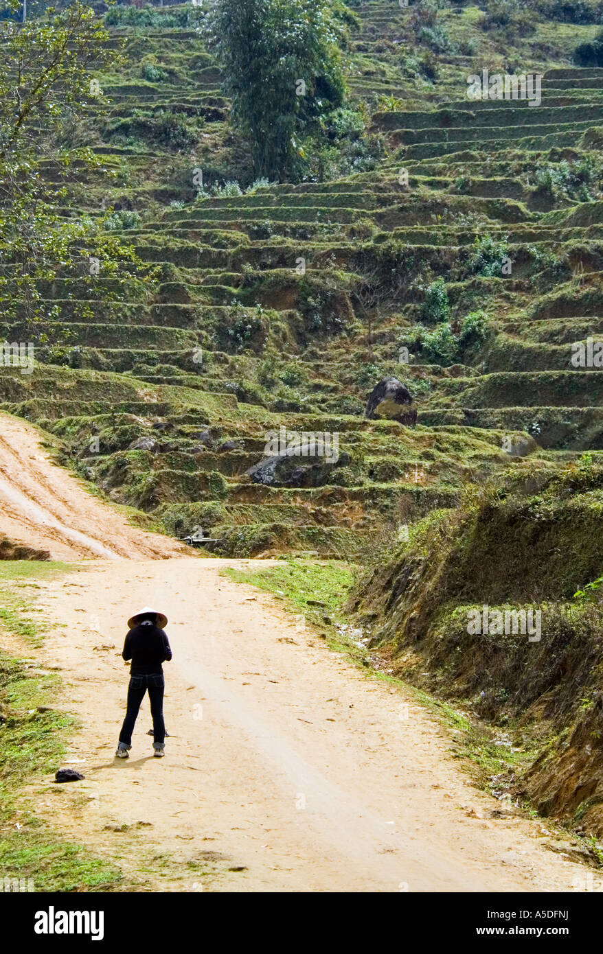 A local walks along a road near terraced rice fields in the mountains ...