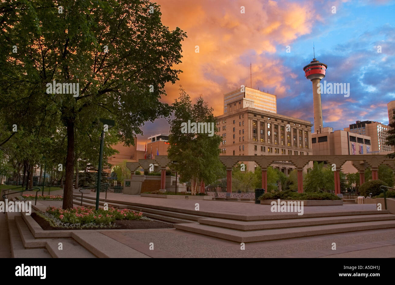 Stock photo of the Calgary Tower the Centre for Performing Arts and ...