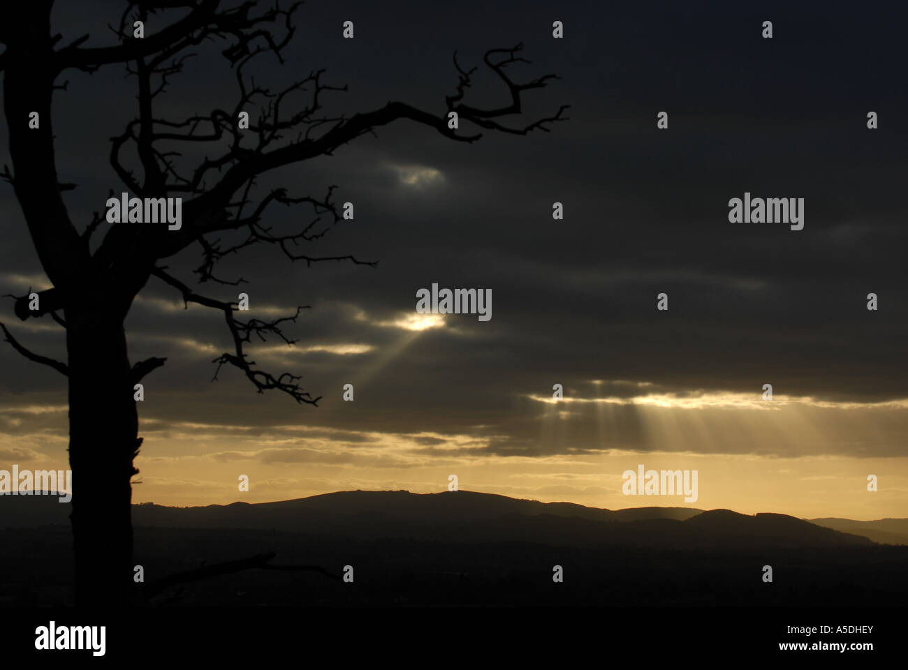 Haughmond hill hi-res stock photography and images - Alamy