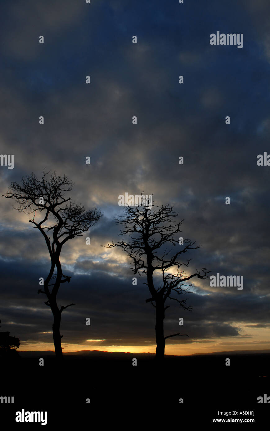 Haughmond hill hi-res stock photography and images - Alamy