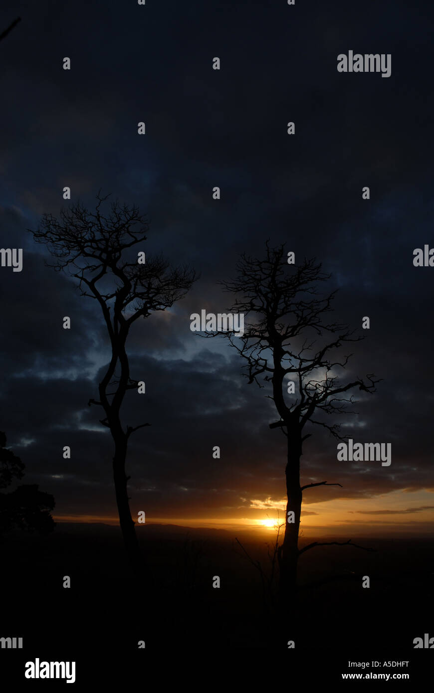 Haughmond hill hi-res stock photography and images - Alamy