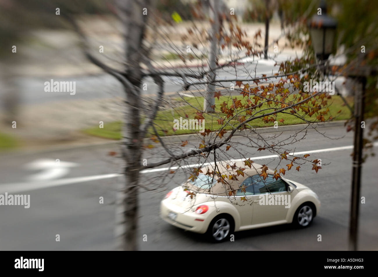 Brand new Volkswagen Beetle convertible driving by on street. Fall ...