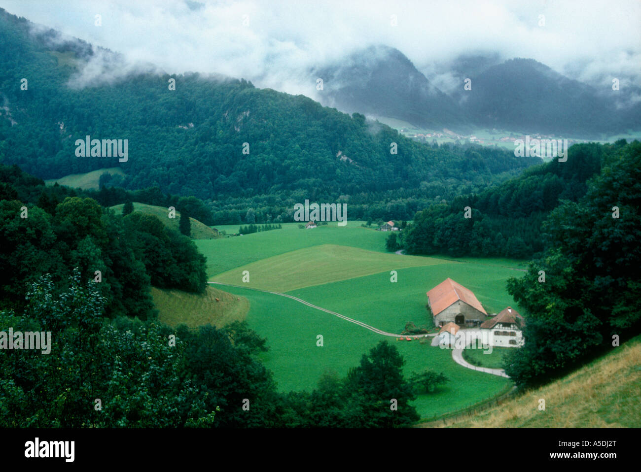 Rich green pastures hi-res stock photography and images - Alamy