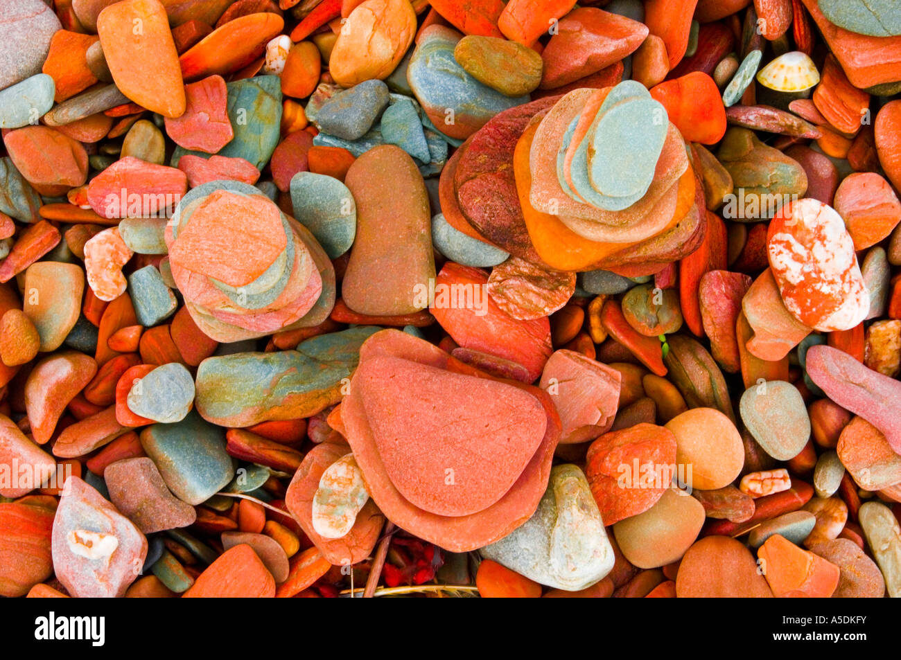 Colourful pebbles on a beach arranged as eyes and a nose Stock Photo ...