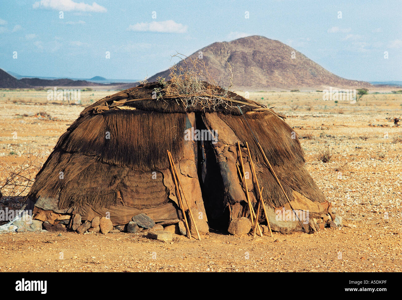 Rendille traditional hut decorated with branches to celebrate New Year ...