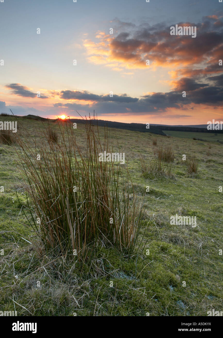 Yorkshire Sunset, Near Harrogate, England Stock Photo - Alamy