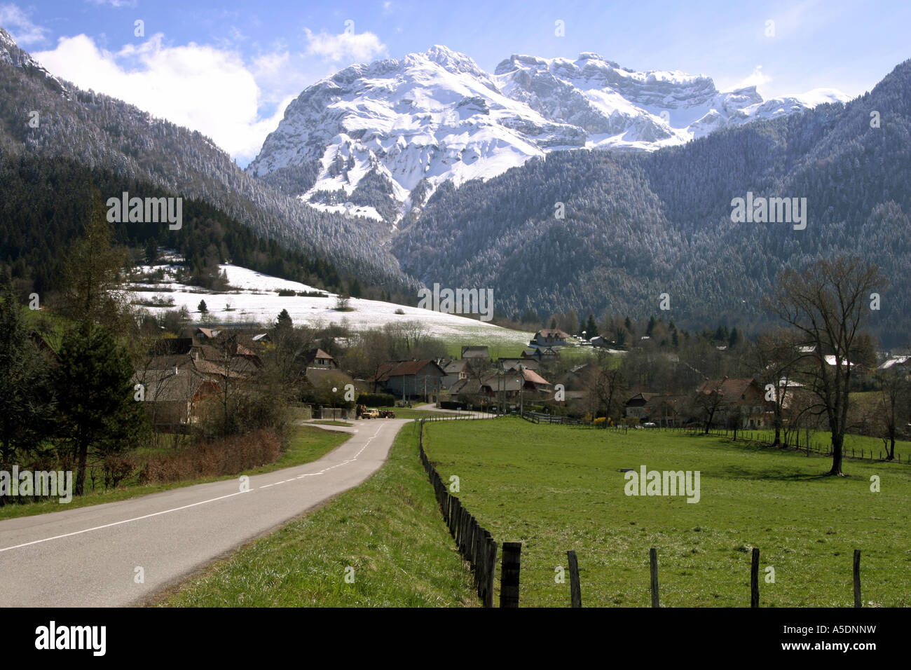 Trees mountain in french alps hi-res stock photography and images - Alamy