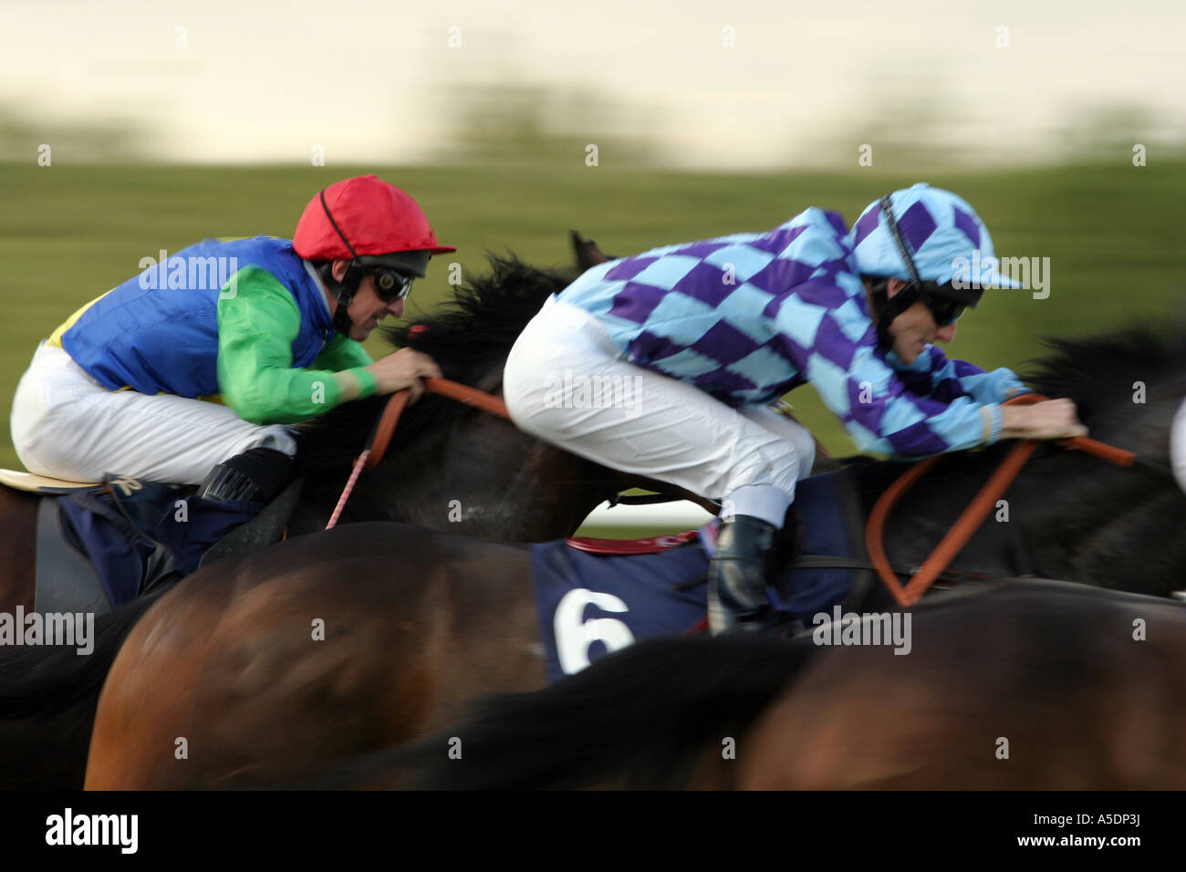 Newmarket july course hi-res stock photography and images - Alamy